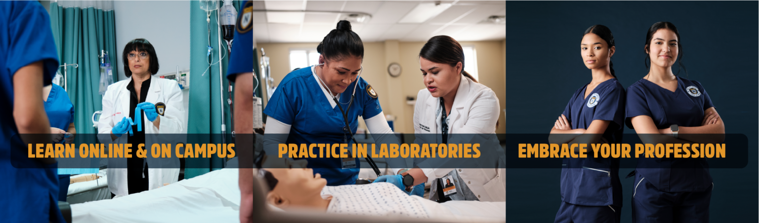 Bachelor of Science in Nursing